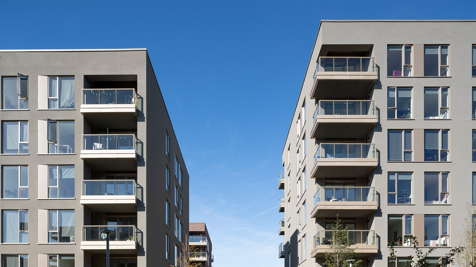 Griffiths Wood | Weber UK