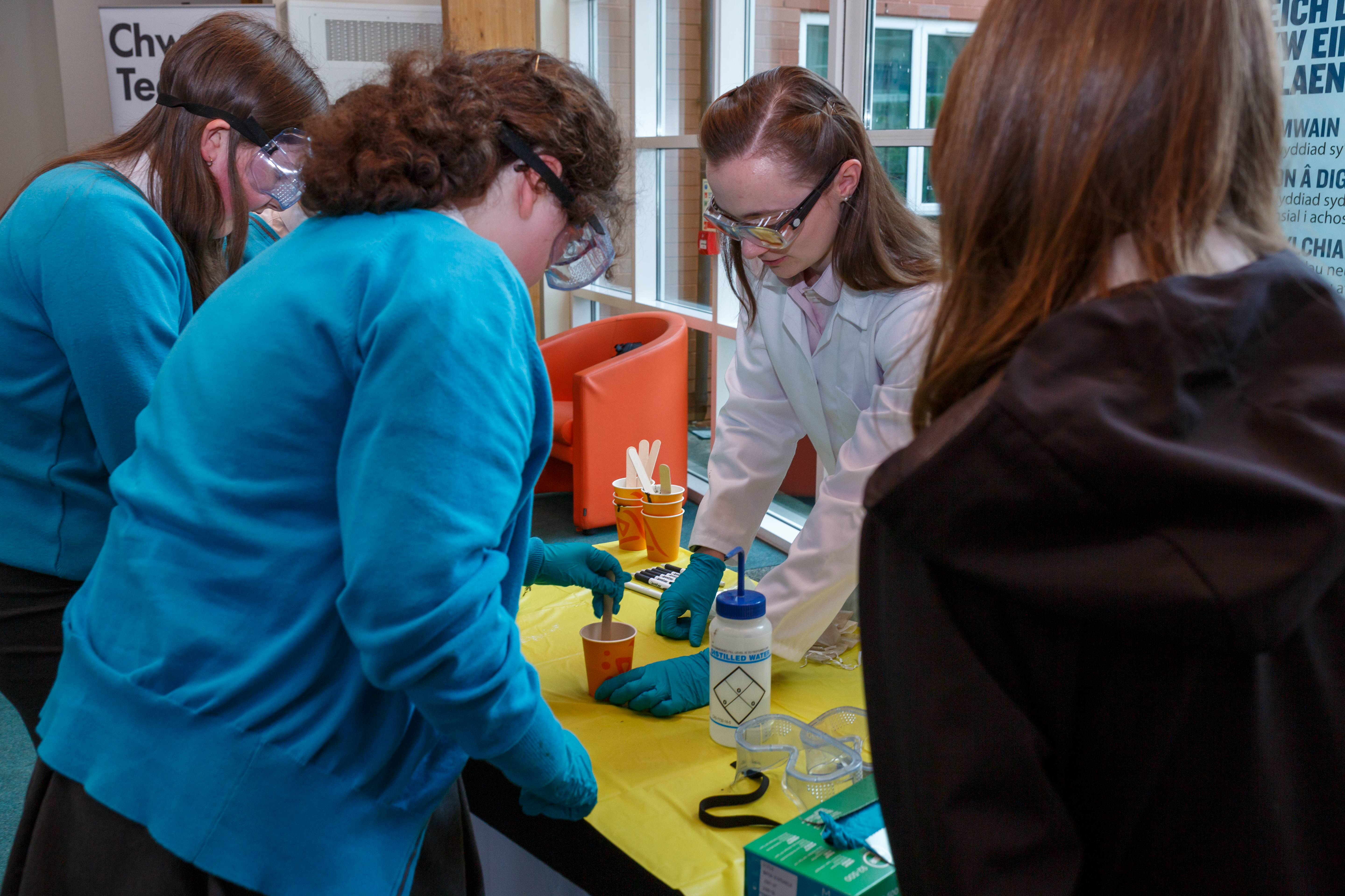Celebrating Women and Girls in Science: Paving the Way for Future ...