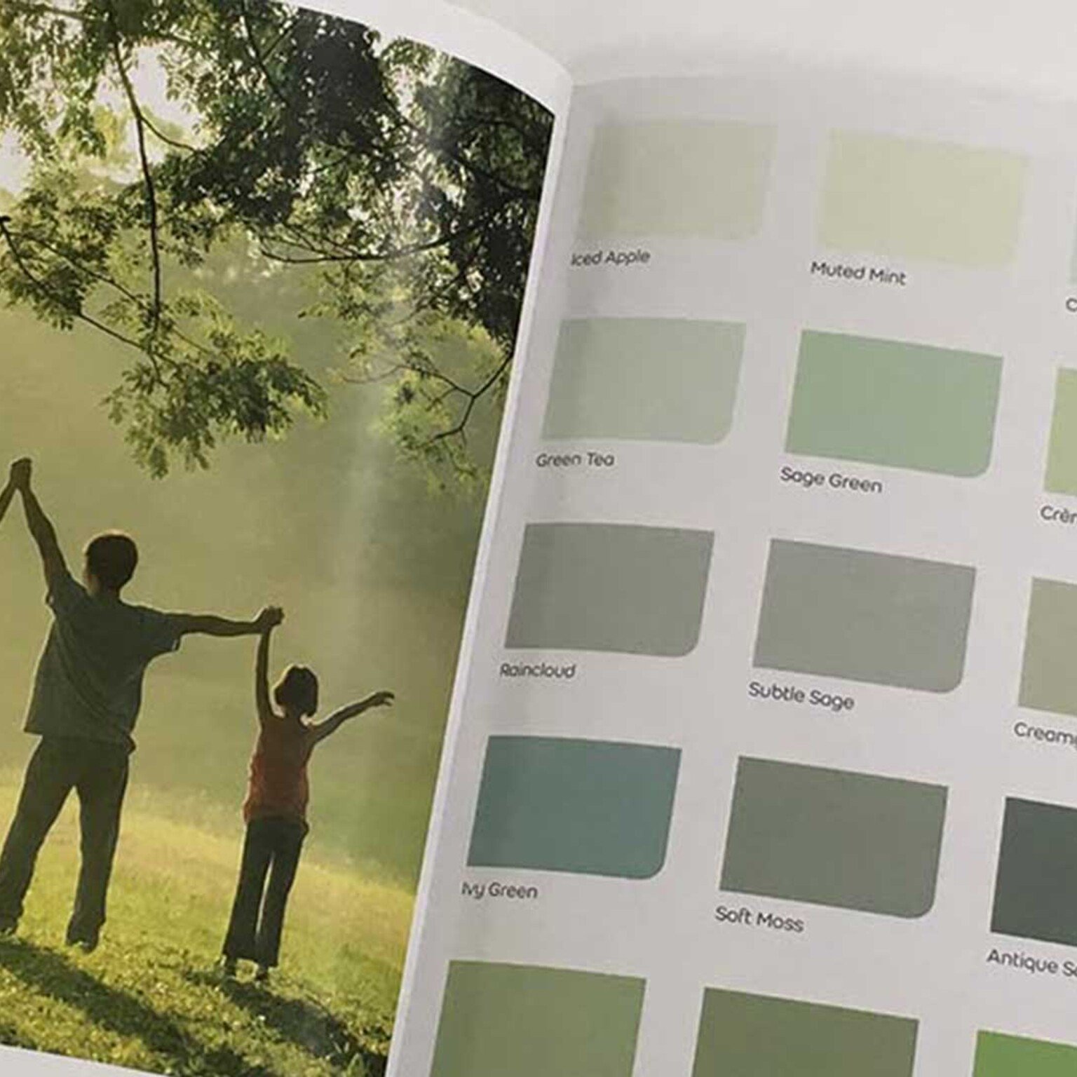 webersil P | Silicone render paint | Weber UK